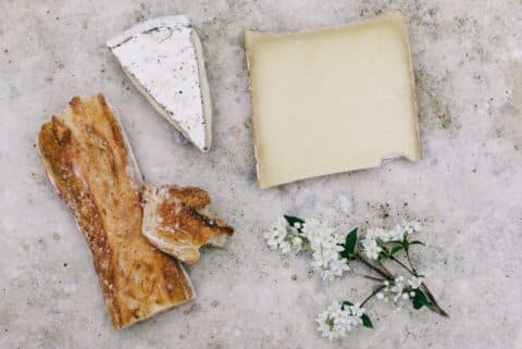 Gout and Low-Fat Cheese: A Match Made in Heaven for Healthier Living